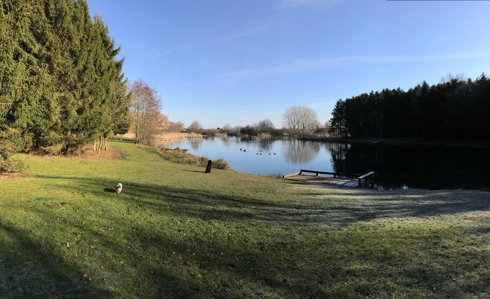 Aquatic weed control at Lenches Lakes: Dyofix Pond Blue & Lake Shadow